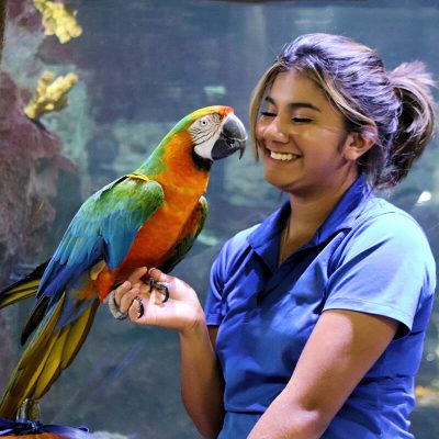 Employment | Houston Interactive Aquarium & Animal Preserve
